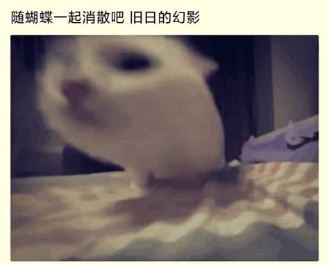 了解一下？12护眼模式 崩坏：星穹铁道社区 米游社