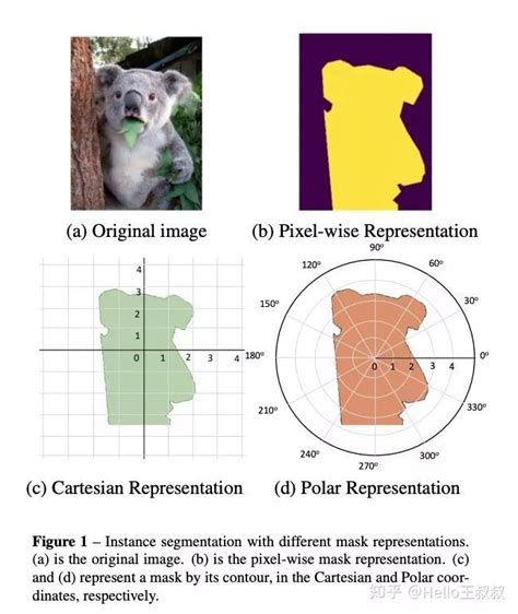 图像分割深度学习从零开始学习路线 Csdn博客