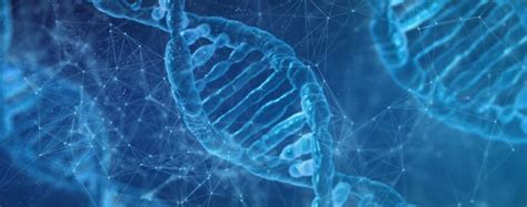 Identifying Novel Sex And Age Specific Gene Variants That Influence