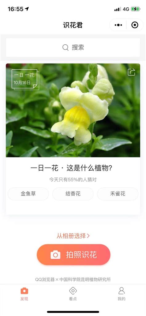 识花君：一款利用人工智能识别花草的小程序 Csdn博客