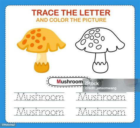 영어 알파벳과 색칠 공부 책의 글자를 추적합니다 미취학 아동을 위한 손글씨 연습 0명에 대한 스톡 벡터 아트 및 기타 이미지 0명 교육 귀여운 Istock