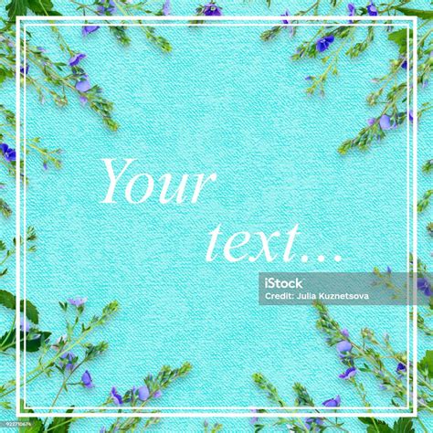 작은 보라색 꽃과 함께 봄 배경입니다 섬세 한 청록색 녹색 자주색 색조에 엽서 꽃 꽃의 구조에 대한 스톡 사진 및 기타 이미지 꽃 꽃의 구조 꽃 식물 꽃잎 Istock