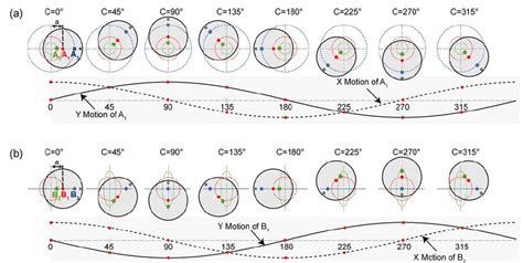 Comparison Between The Ideal Spindle A And The Spindle With Download Scientific Diagram