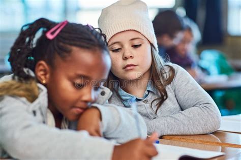 Working Together Elementary School Girls Doing School Work Together In