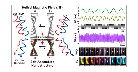 Helical Magnetic Field Induced Real Time Plasmonic Chirality Modulation