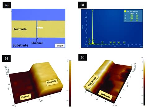 A Optical Microscope Image Of Graphene Based Field Effect Transistor Download Scientific