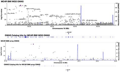 Enhancing Genome Wide Association Analyses With Whole Genome Data In