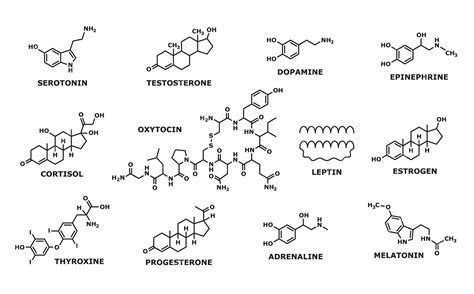 Premium Vector Hormones Molecular Formula Structure Line Symbols
