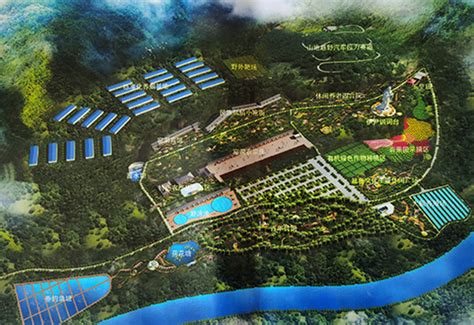 洛阳蝎子养殖 洛阳伊尹文化产业园 洛阳东亚钳蝎繁殖基地