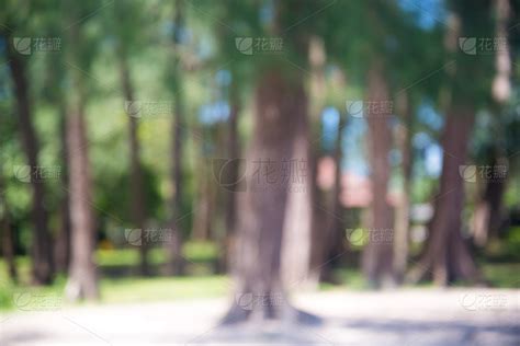 自然 背景 运动模糊 背景虚化 水平画幅 秋天 无人 散焦 户外 森林
