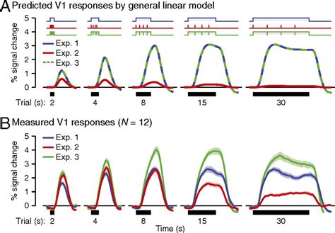 Encoding Model Of Temporal Processing In Human Visual Cortex Pnas