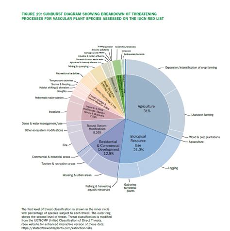 Adding Labels · Issue 59 · Timelyportfoliosunburstr · Github