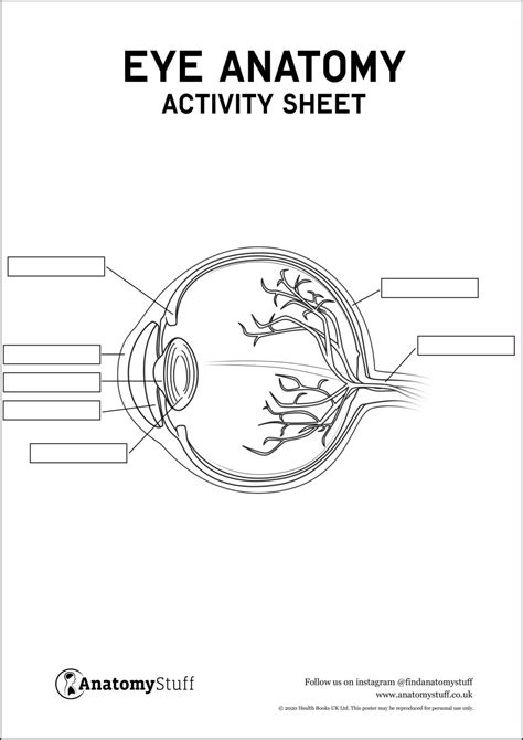 Parts Of Eye Interactive Worksheet Edform Worksheets Library