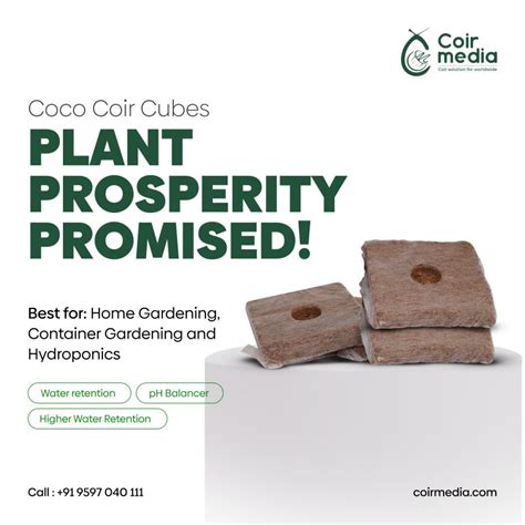 Coir Media On Linkedin Coirmedia Coirproductmanufacturer Coircubes Cococoircubes Coirpallets…