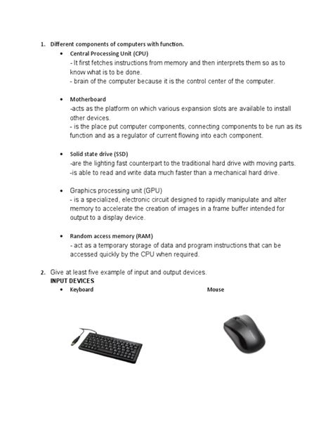 Keyboard Mouse Input Devices Pdf