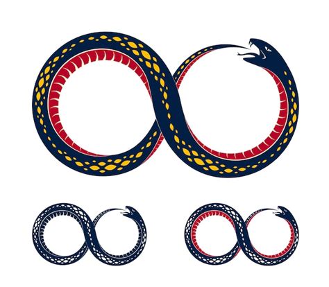 자신의 이야기를 먹는 뱀 무한대 상징 모양의 Uroboros 뱀 삶과 죽음의 끝없는 순환 Ouroboros 고대 상징 벡터