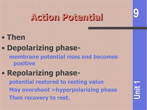 Nervous Tissue Chapter Ppt Download