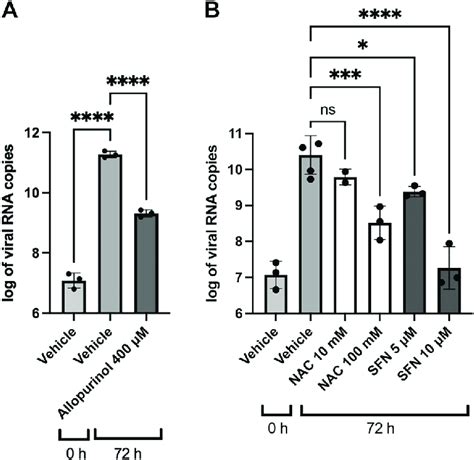 A Proper Redox State Of The Cell Is Essential For The Antiviral Download Scientific Diagram