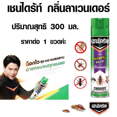 เชนไดร้ท์ 7 สเปรย์กำจัดปลวก กลิ่นลาเวนเดอร์ 300 มล X 3 กระป๋อง Jing Jaishops Thaipick