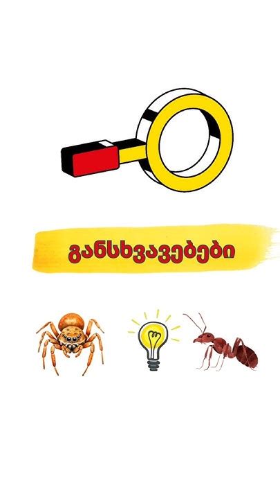 🕷🐜 განსხვავებები მწერებსა და ობობებს შორის 🕷🦋 Youtube