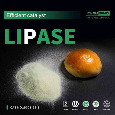 China Customized Savor Every Bite Lipase Enzyme For Improved Fat