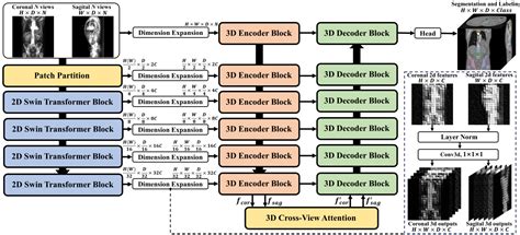 [論文レビュー] Swin X2s Reconstructing 3d Shape From 2d Biplanar X Ray With Swin Transformers