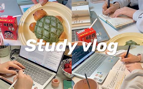 Study vlog寒假宅家学习记录开学前的挣扎痛快玩痛快学两人一猫的幸福生活外刊阅读 葡萄wpt 葡萄wpt 哔哩哔哩视频
