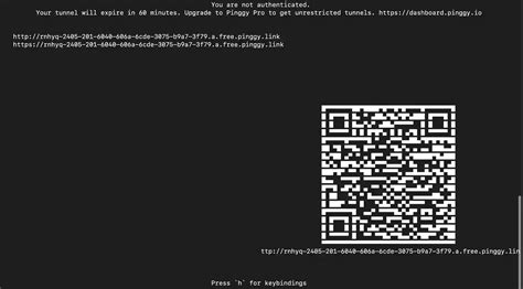 Self Host Local Ai Assistant With Jan And Pinggy
