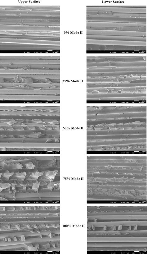 Sem Micrographs Of Fracture Surfaces Generated In Delamination Of A Download Scientific Diagram