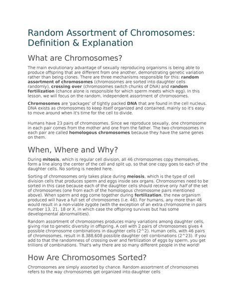 What Is Random Assortment Of Chromosomes At Jasper Corral Blog