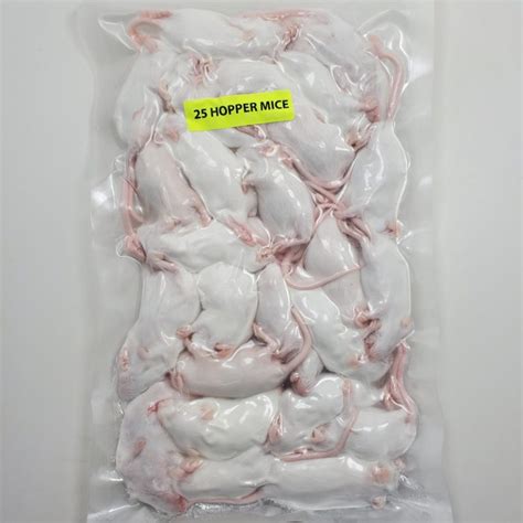 Frozen Feeder Mice At Courtney Stansberry Blog