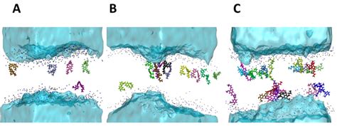 Representative Snapshots Of The Md Simulations For The Systems Download Scientific Diagram