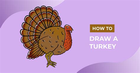 How To Draw A Cartoon Turkey For Thanksgiving Easy Step By