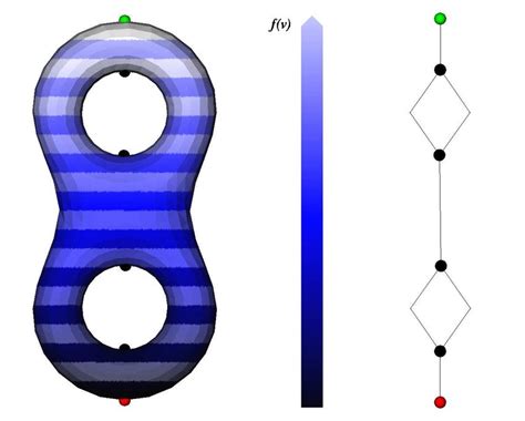 Evolution Of The Level Lines Of The Height Function On A Bi Torus Its