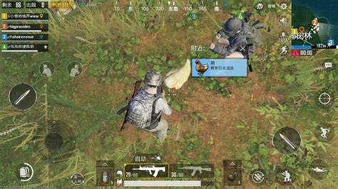 《绝地求生刺激战场》仅限第4周内累计抓到10只鸡任务攻略地图