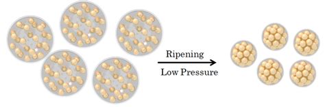1 Schematic Illustration Of The Np Cluster Formulation Route Download Scientific Diagram