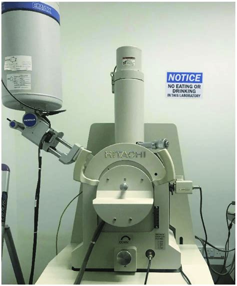 a scanning electron microscope sem download scientific diagram