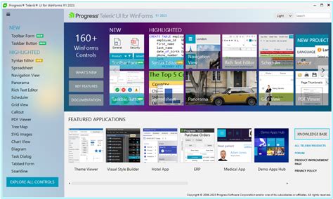 Telerik Ui For Winform控件功能 Telerik中文文档 慧都网