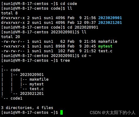 linux 001 基本指令1（ls pwd cd touch mkdir tree） csdn博客