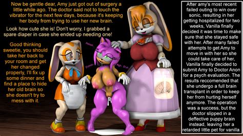 Rule 34 Amy Rose Bimbo Bimbofication Bootypatootie Brain Brain In A Jar Cream The Rabbit Cum