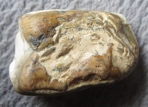 Is This Chert Rocks And Minerals The Fossil Forum