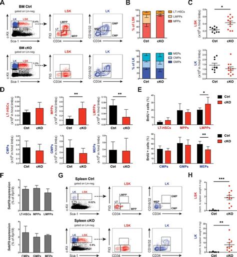 The H3k4 Methyltransferase Setd1b Is Essential For Hematopoietic Stem And Progenitor Cell