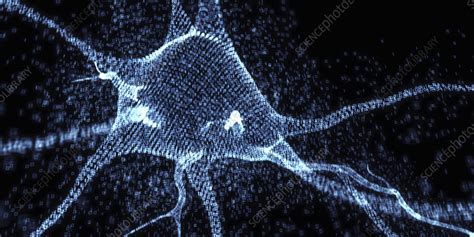 Three Dimensional Neuron In Binary Code Illustration Stock Image