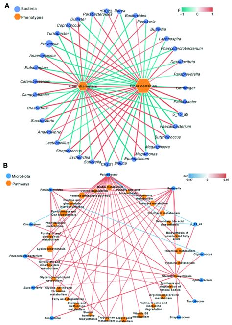 Correlation Networks Showed The Relationships Between Differential Download Scientific Diagram