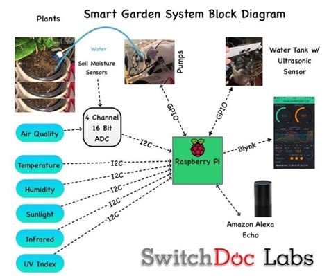 tutorial using blynk with the raspberry pi smart garden system in python artofit