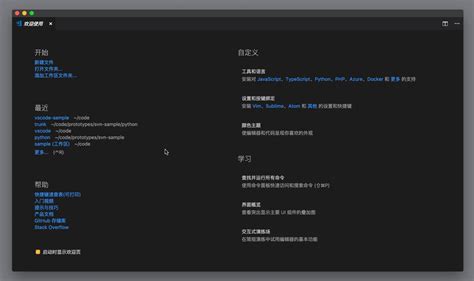 Vscode 设置极客教程