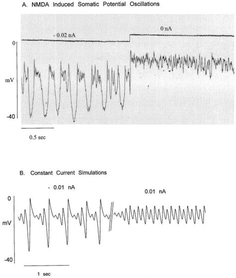 Somatic Voltage Oscillations During A Constant Current A Voltage