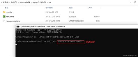 Nexus私服的安装和登录nexus登录 Csdn博客