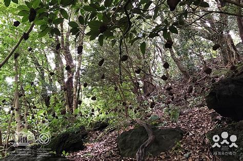 불의 숨길 아트프로젝트☺️ ⠀ 기존의 야외조각전시가 갖는 거대 규모와 조형성 과시의 작업을 지양하고 자연을 훼손하지 않고 자연의 공간을 해석하여 주제를 풀어내는 작업이