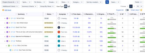 Epic Accumulated Logged Time